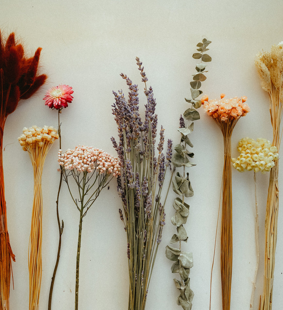 Dried Flower Bar – Sun Flowers PR