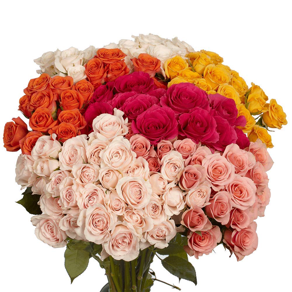 Spray Rose – Sun Flowers PR